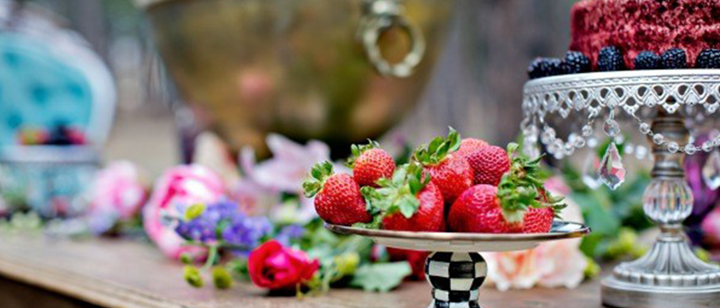 the rustic and glamorous day of the #forestphotoshoot